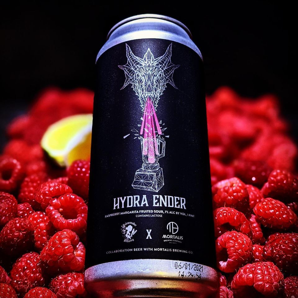 4pk Hydra Ender Margarita Sour | Widowmaker Brewing Co.