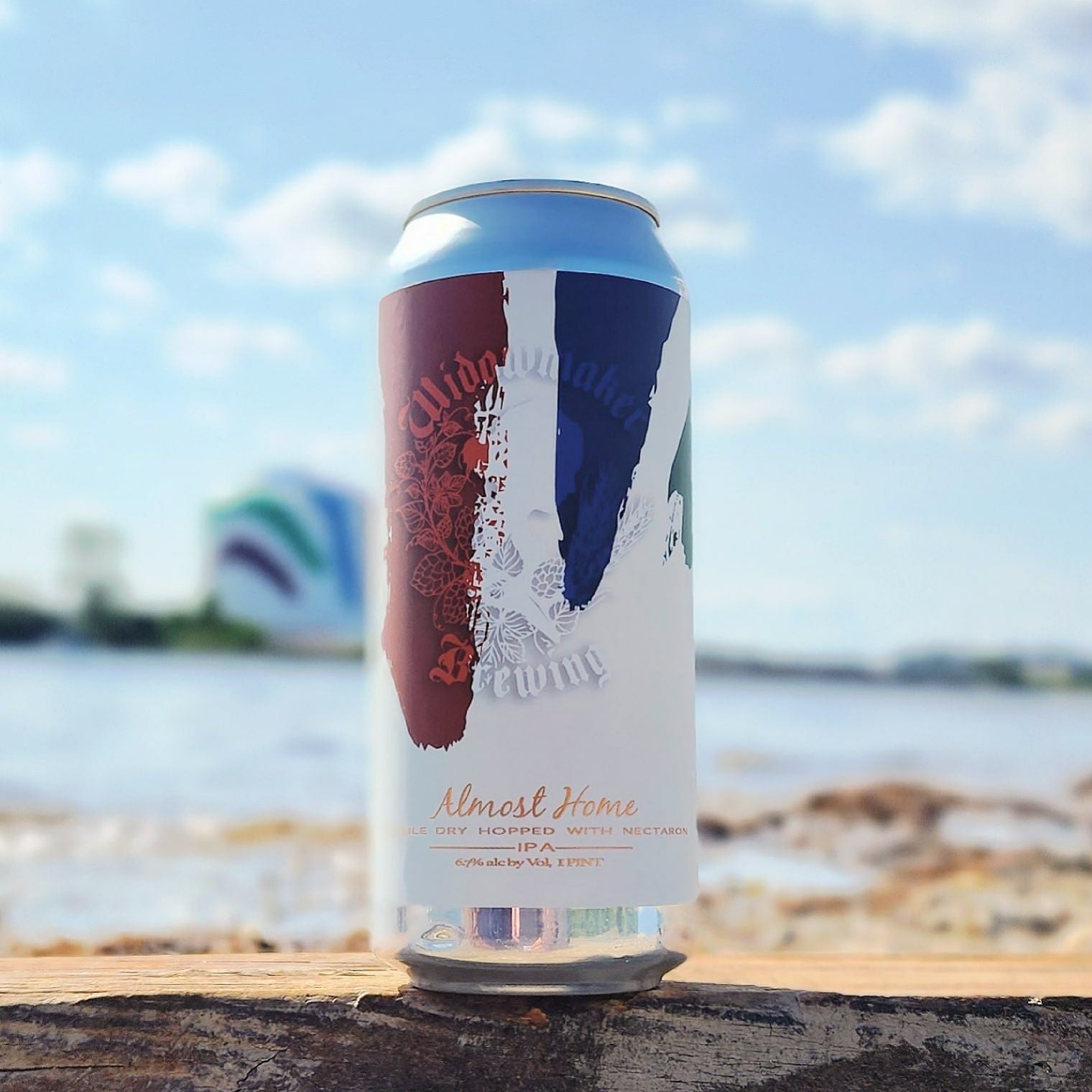 4pk Almost Home with Nectaron IPA | Widowmaker Brewing Co.